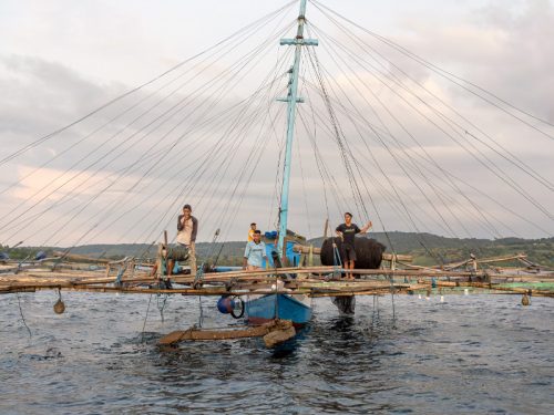 What is a “Bagan”? Sumbawa, Indonesia | followtheboat
