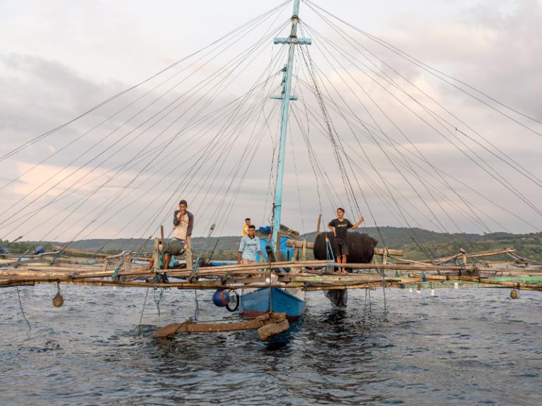 What is a “Bagan”? Sumbawa, Indonesia | followtheboat